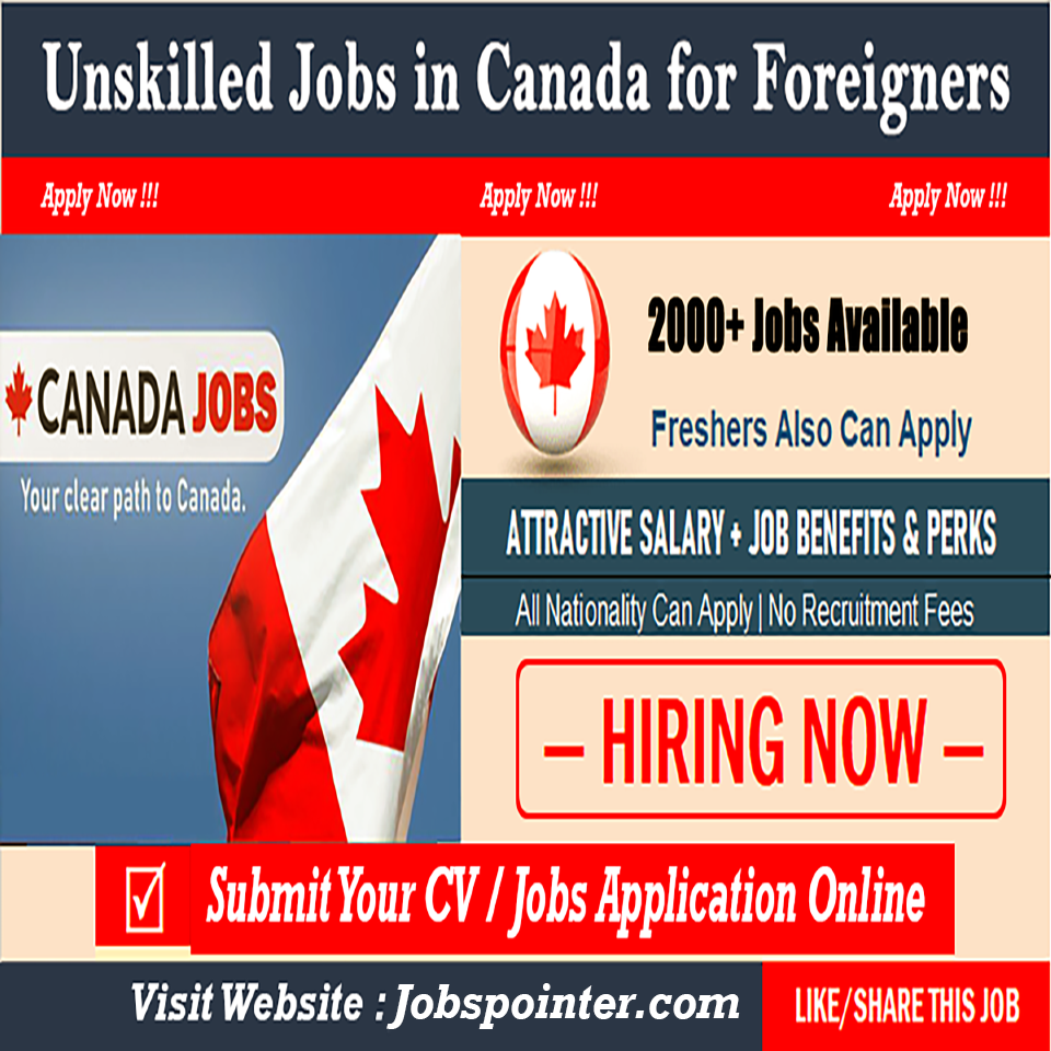 Light Vehicle Driver Jobs in UAE: Visa Sponsorship Available